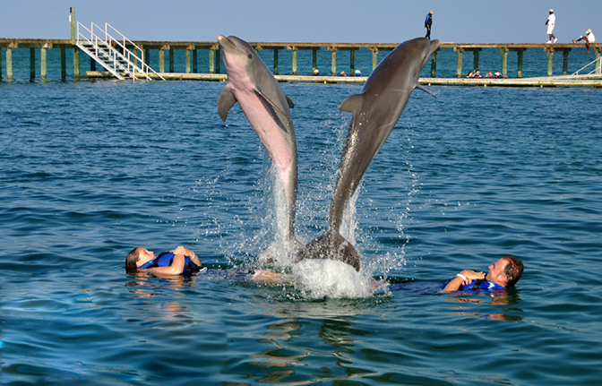 Dolphins Explorer - Punta Cana/Bavaro Dominican Republic Excursions